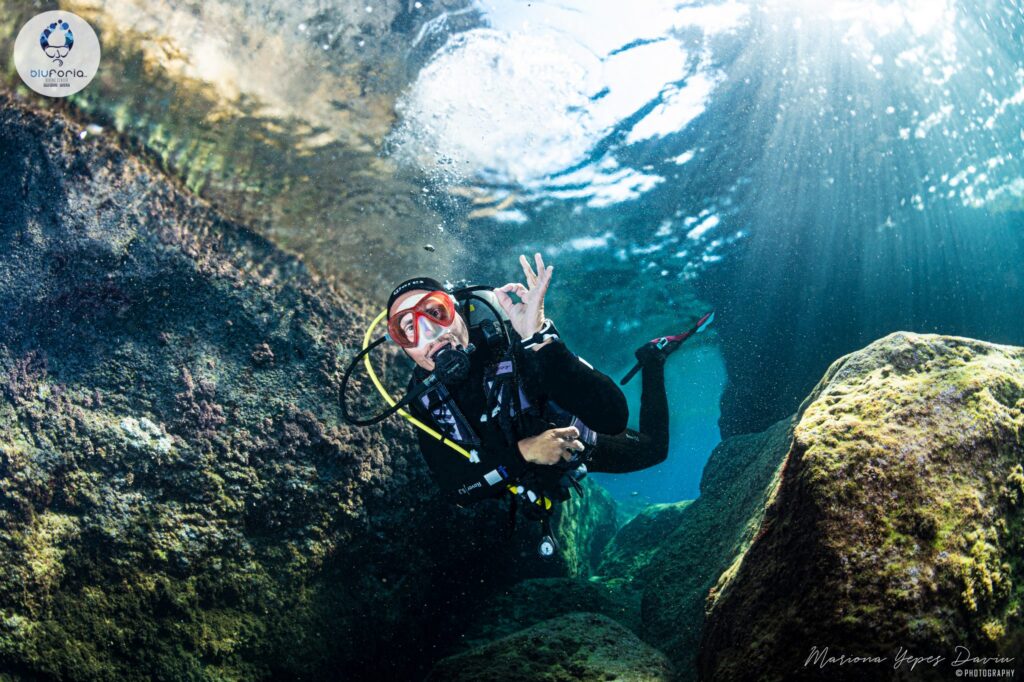 Open Water Diver | PADI Courses | Bluforia